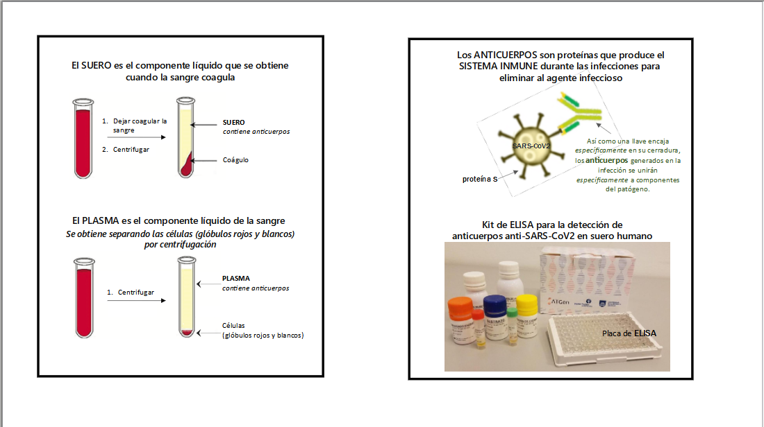 Tests serológicos para el diagnóstico de Covid-19
