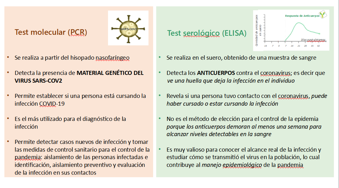 Tests serológicos para el diagnóstico de Covid-19